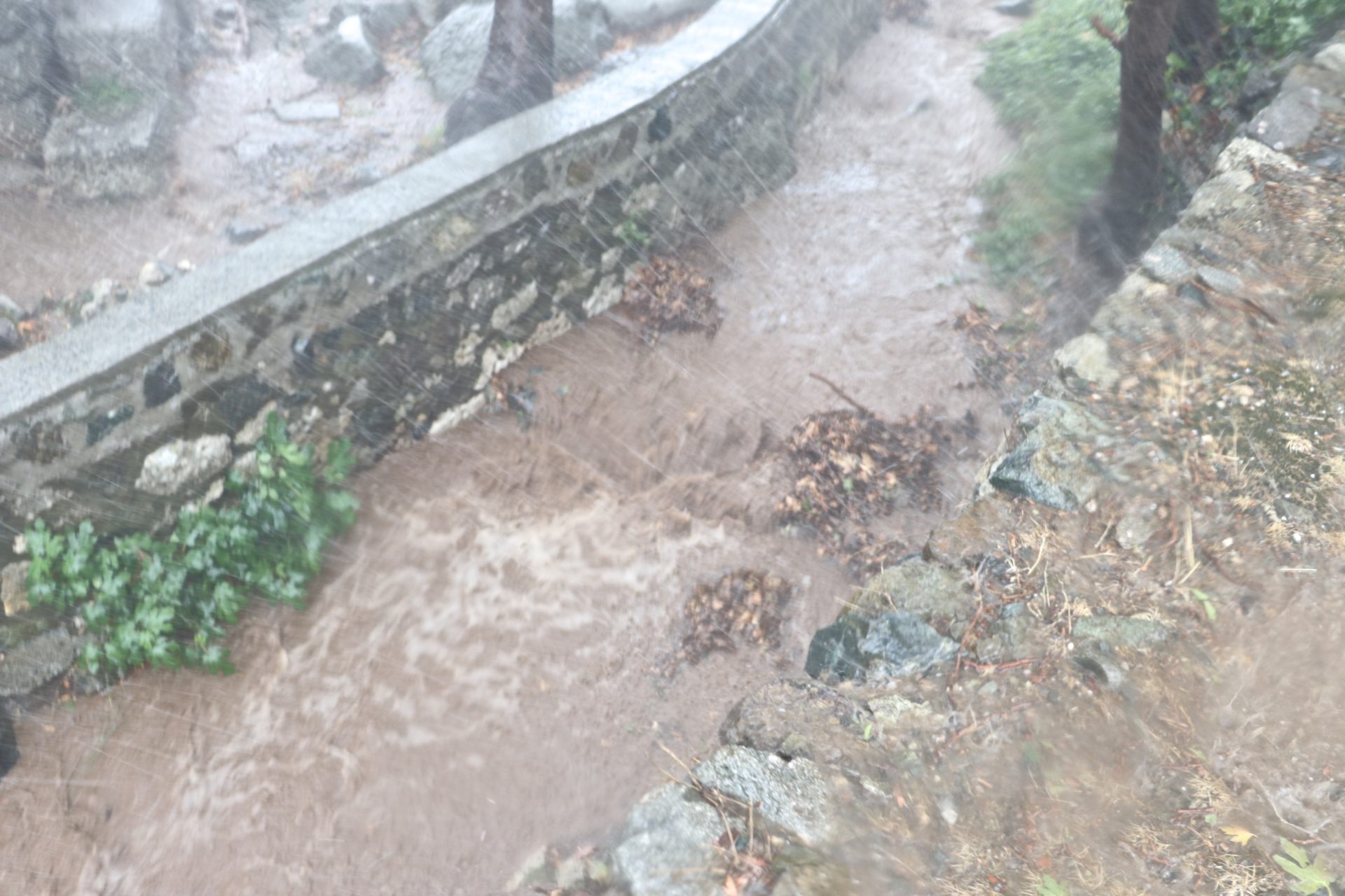 Water Under the Bridge? Questions and Challenges in the Central Ravine ...